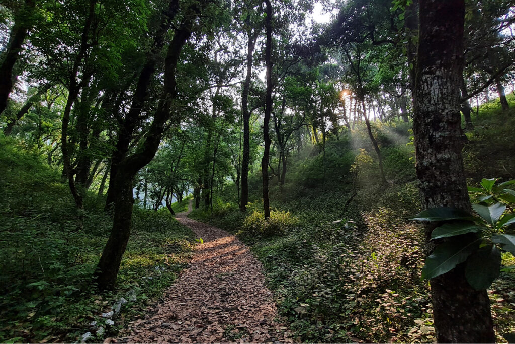 Garur-taal-trail | Wild Kumaon Sattal